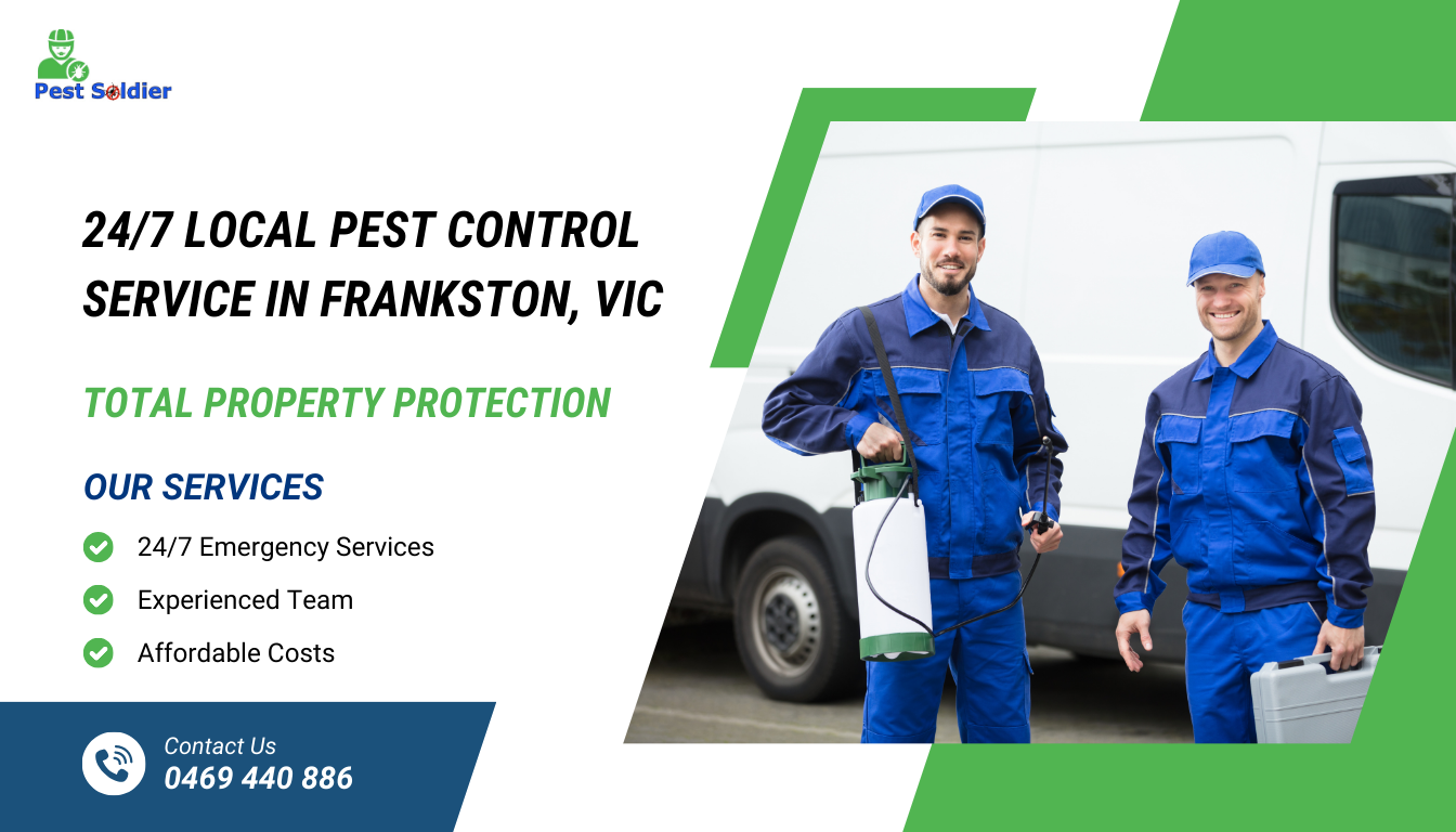 Emergency Pest Control Service in Frankston | 24/7 Protection